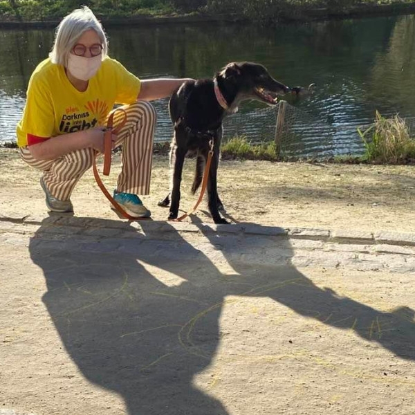 Darkness Into Light - Sarah Ironside